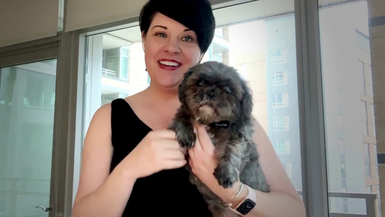 Kristee Haney sings “With So Little to Be Sure Of” from Anyone Can ...